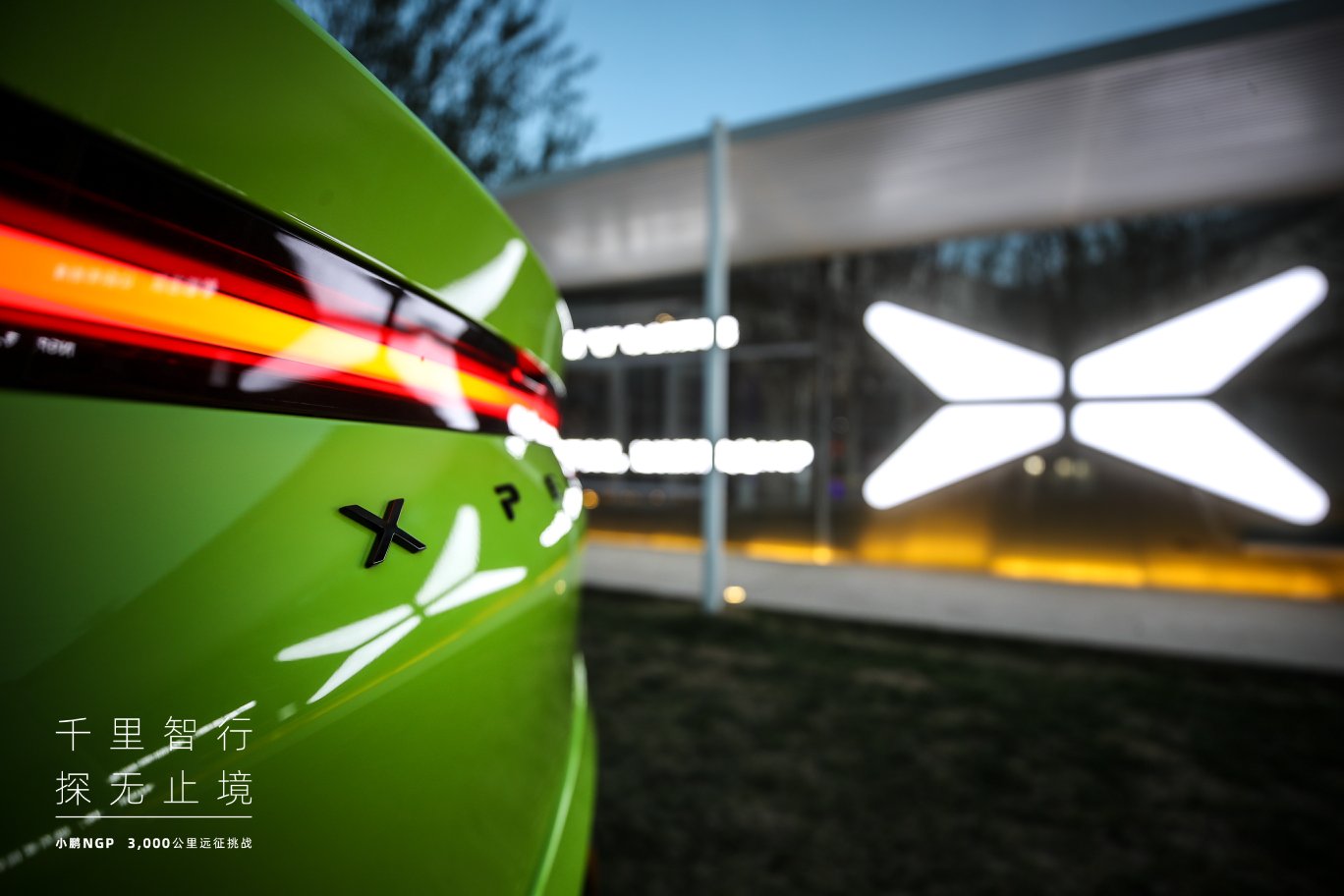 NGP永无止境，必登巅峰。