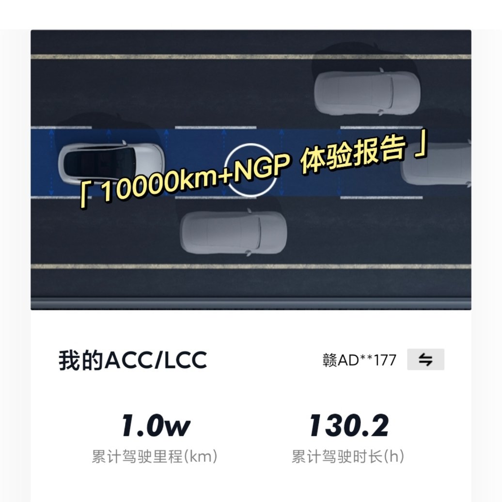 你不可以不知道LCC与NGP有多强🤩丨用车攻略 ️